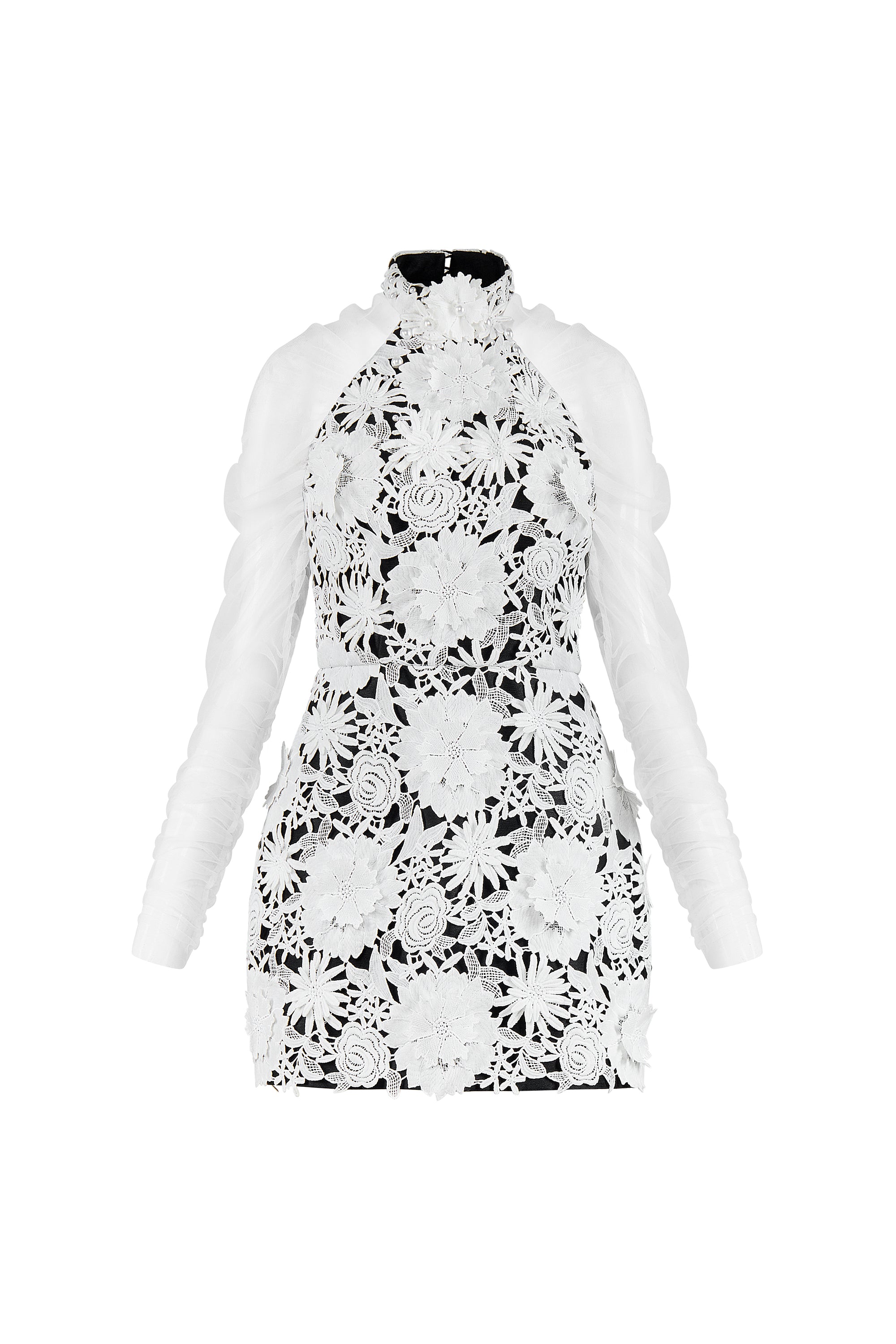 PETALIA Sheer Long Sleeves Mini Dress – Calista Official